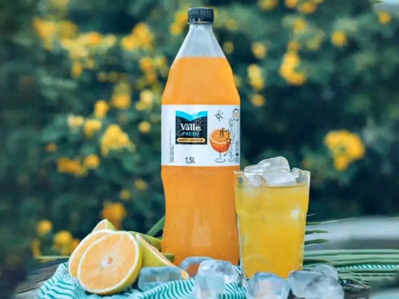 Coca-Cola terá que adequar rótulo da bebida Del Valle Fresh
